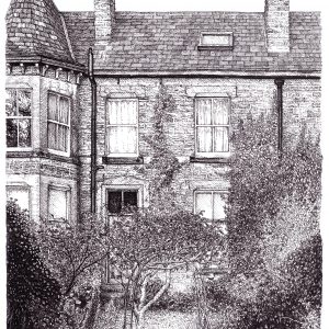 Simon Lewis Illustration